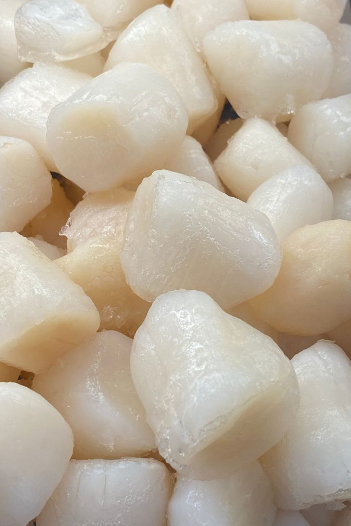 What Are Scallops? - Southern Cravings