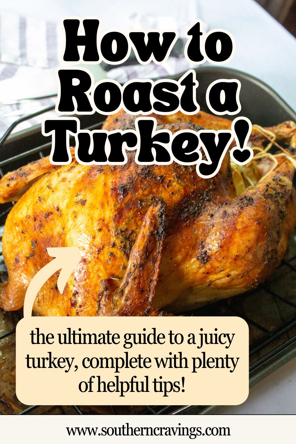 A Guide to Cooking a Thanksgiving Turkey + Recipe! - Southern Cravings